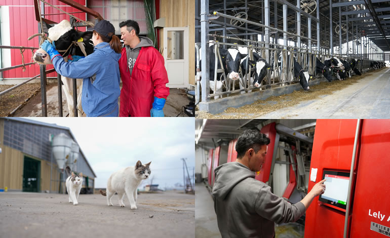株式会社COWBELL｜北海道 紋別郡 酪農 牧場